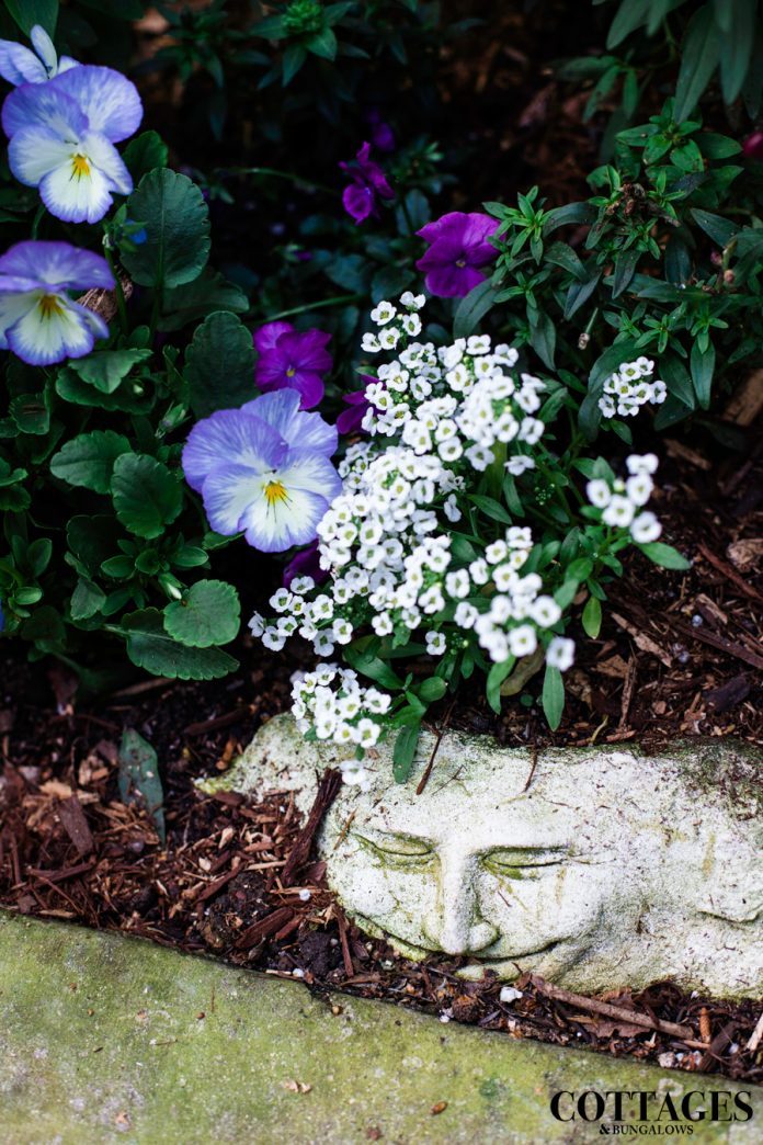 5 Flowers for your Cottage Garden - Cottage style decorating