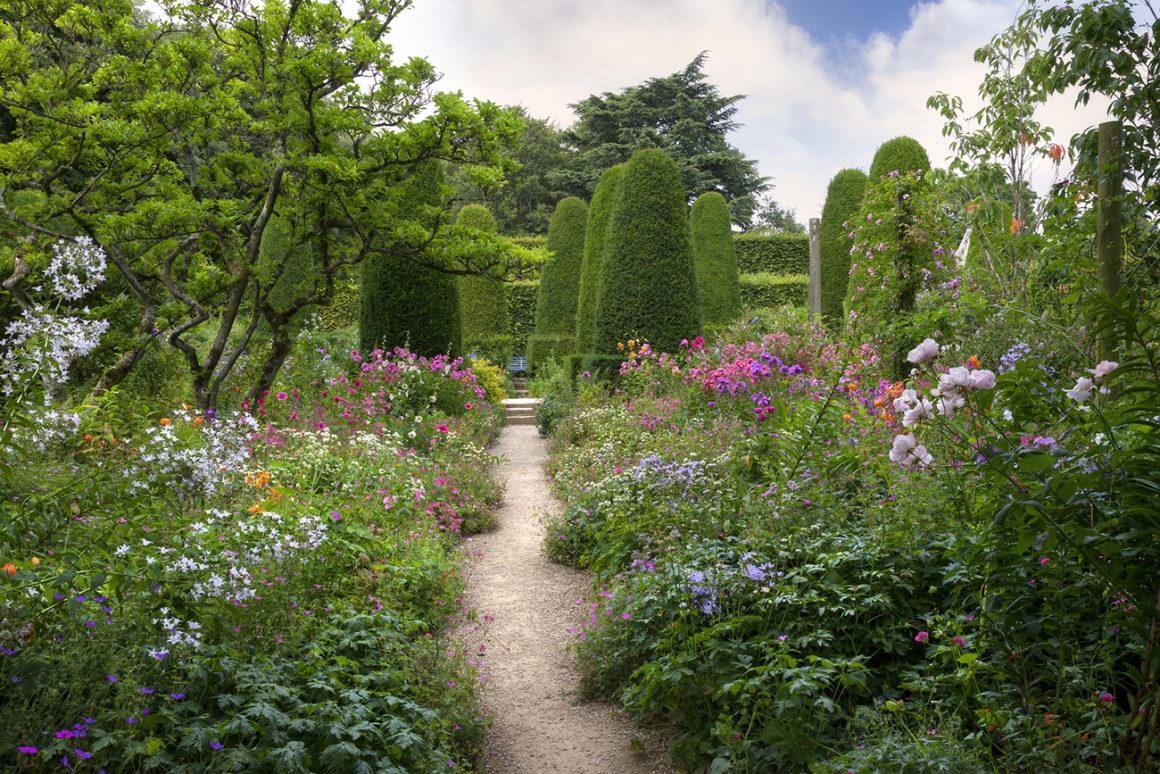 Plant Picks for a European Garden Escape - Cottage style dec