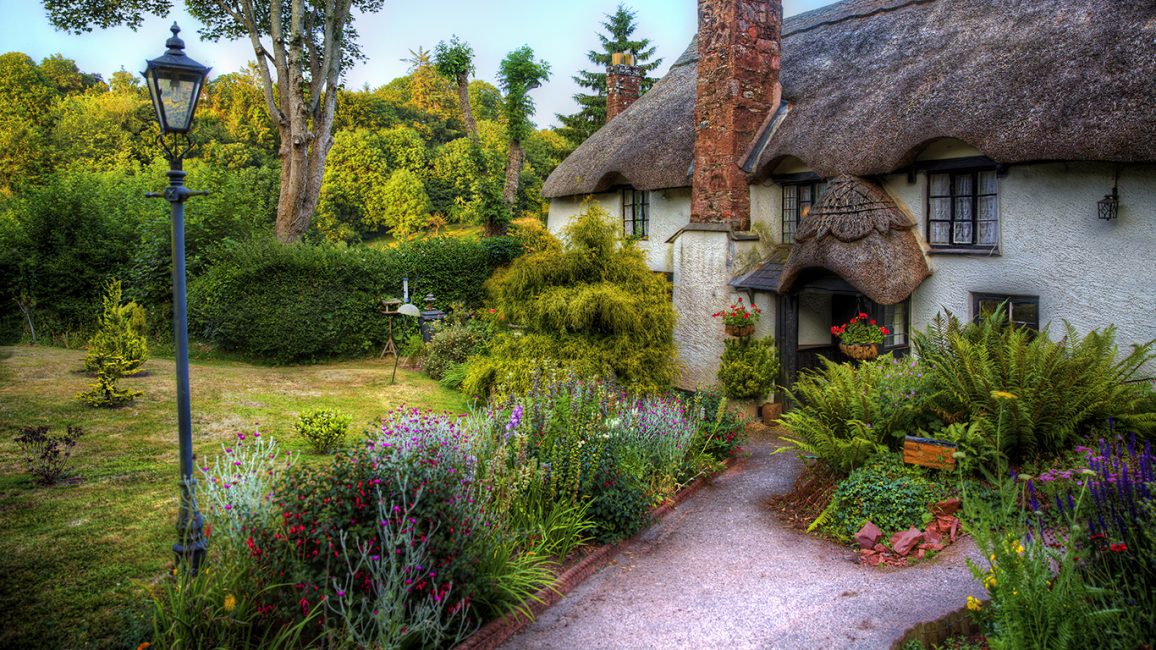 Plant Picks for a European Garden Escape - Cottage style dec