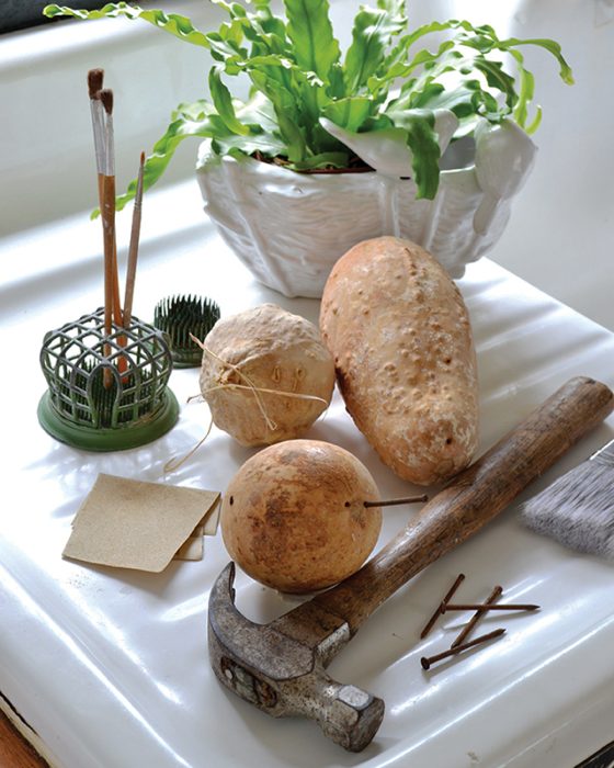 How to Dry Pumpkins and Gourds - Cottage style decorating, r