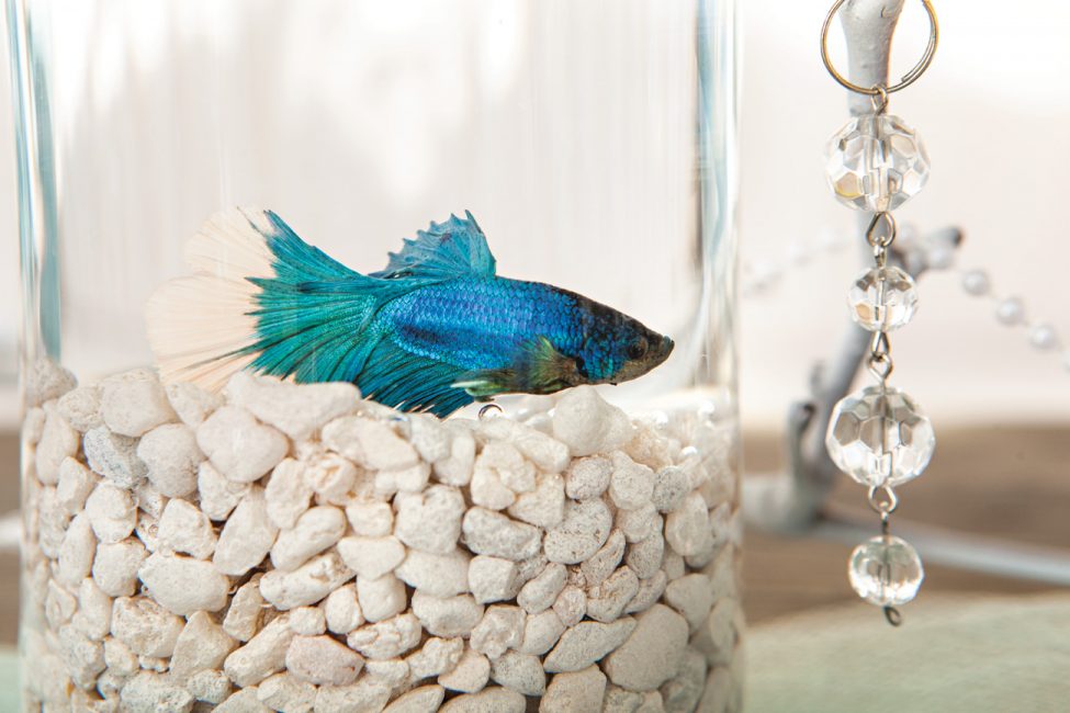 10 Things You Need to Recreate this Amazing Seaside Dinner P