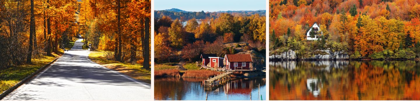 top-pannel - Cottage style decorating, renovating and entertaining ...