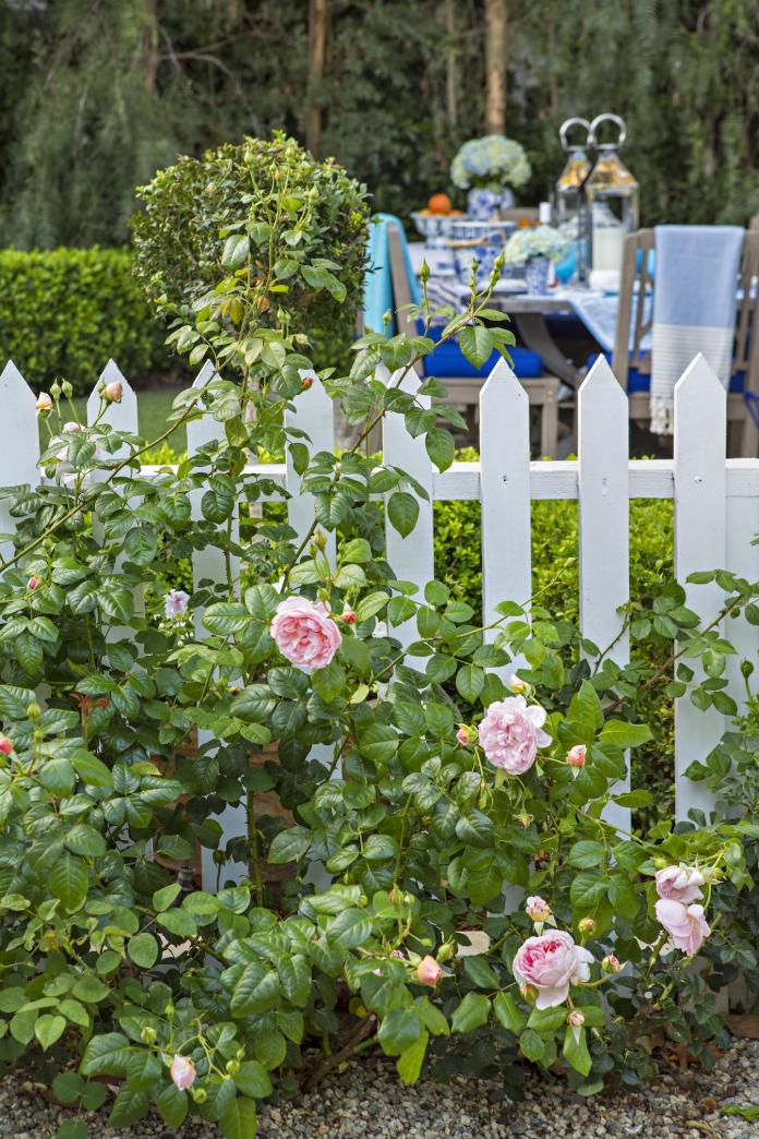 How to Create a Classic Cottage Garden - Cottage Style Decor