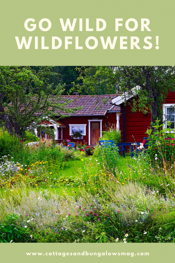 Go Wild for Wildflowers! - Cottage style decorating, renovating and ...